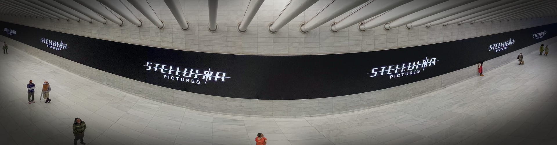 Stellular Pictures - Bushwick Design - Brooklyn Web Design