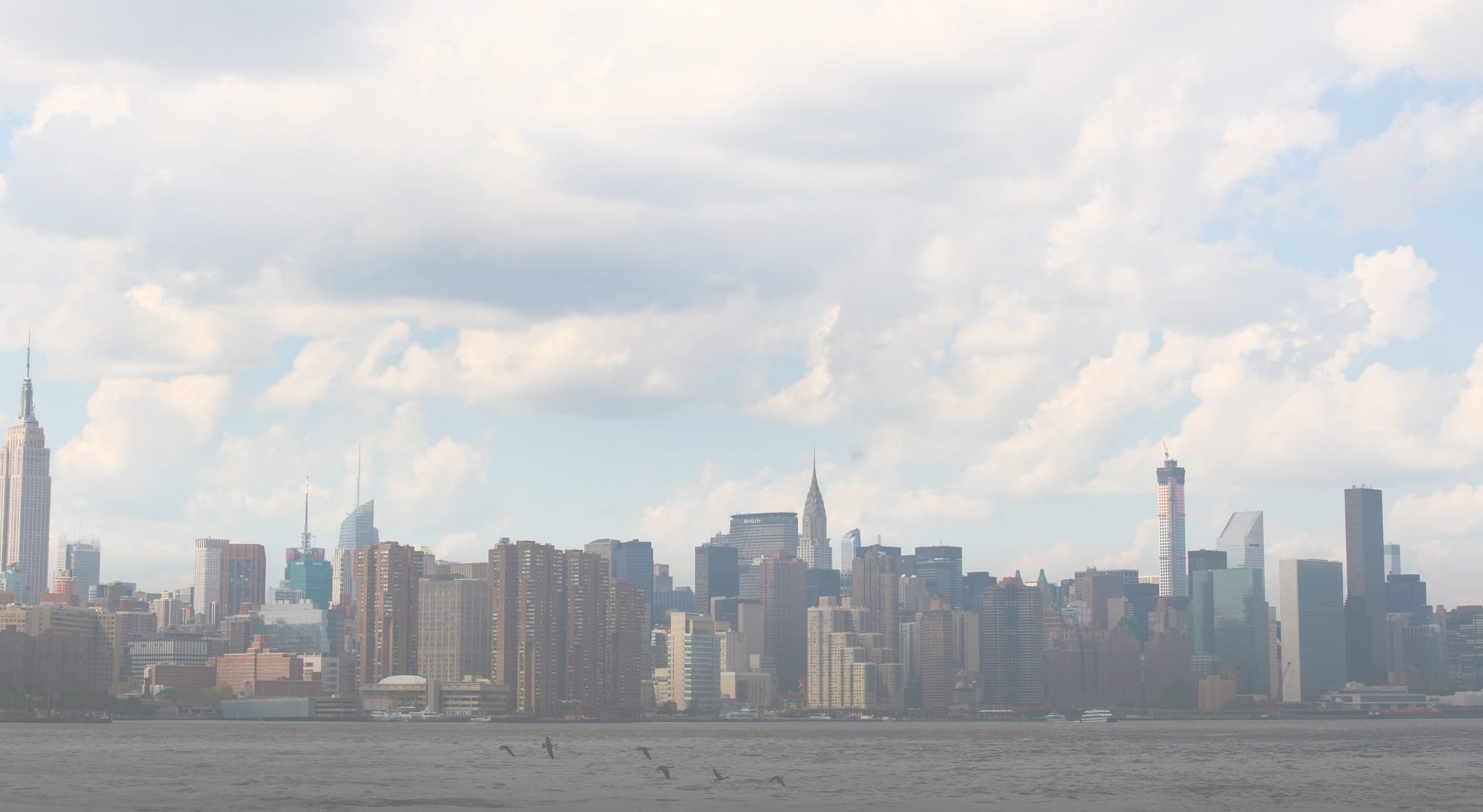 Brooklyn Pizza Crew - Bushwick Design - Brooklyn Web Design